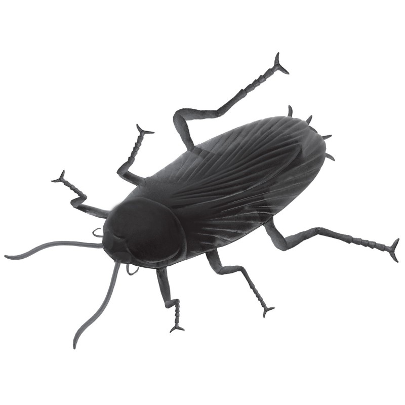 Halloween Giant Cockroach Prop | Express Party Supplies